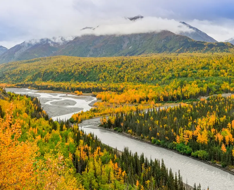 Alsk2 | Cruceros Princess, Líderes en Cruceros.